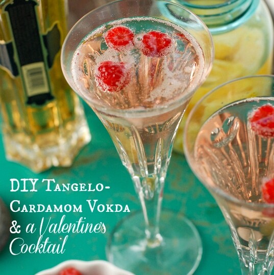 DIY Tangelo-Cardamom Vodka & a Valentine's Cocktail!