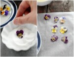 Raspberry-Vanilla double glazed Sugar Cookies with Sugared Pansies