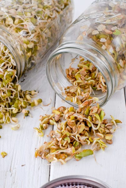 Growing Sprouts & DIY Sprouting Jars tutorial | BoulderLocavore.com