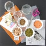 Growing Sprouts & DIY Sprouting Jars tutorial | BoulderLocavore.com