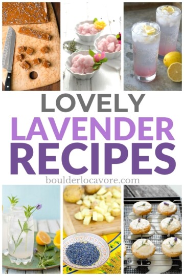 Lovely Lavender Recipes - Savory, Sweet, Food & Drinks