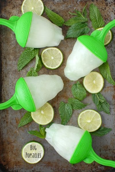 Watermelon-Mint and Lime-Ginger-Mint Bug Popsicles