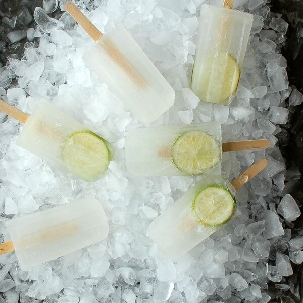 Zooquila Fresca Popsicles and the 25th Do at the Denver Zoo