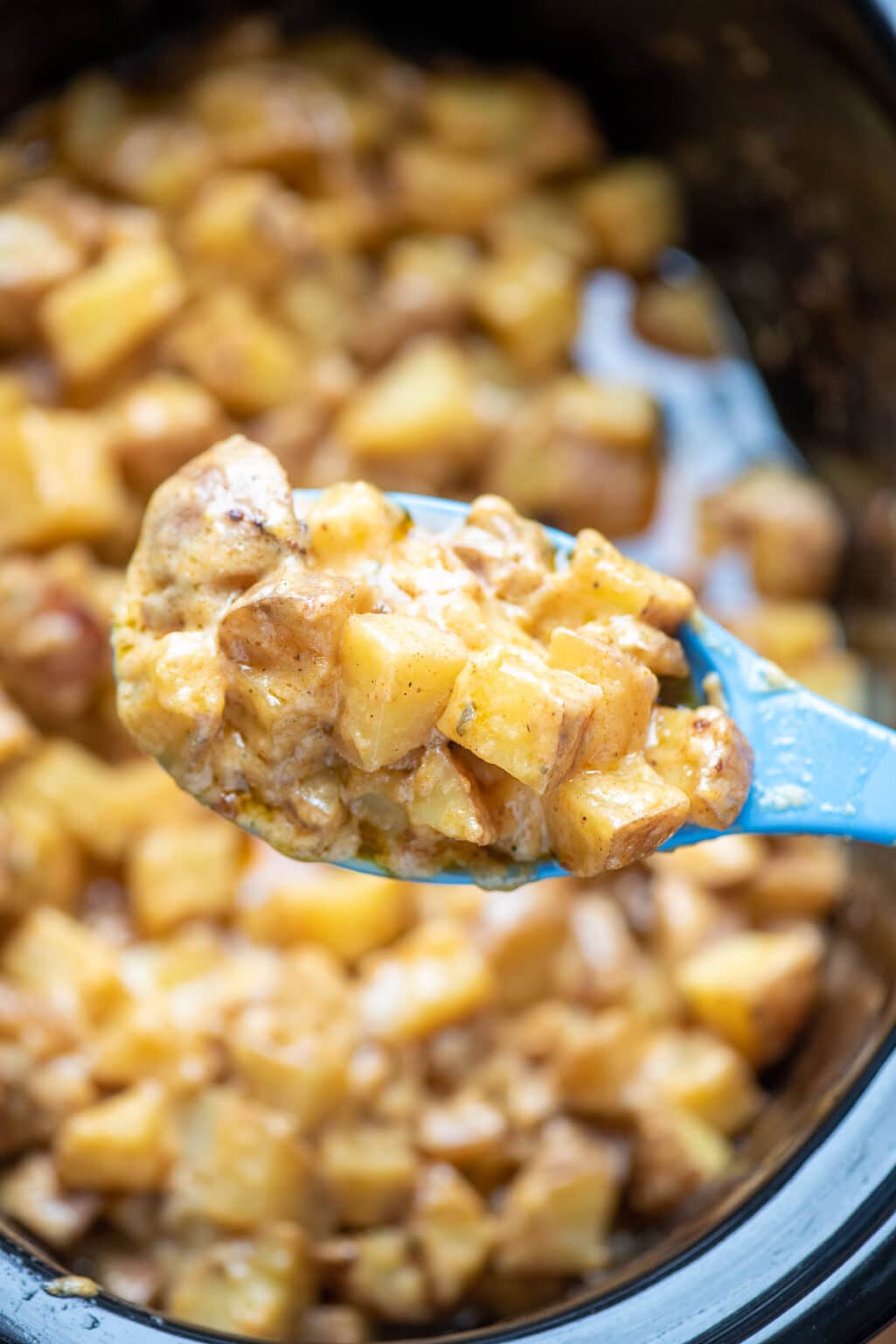 Cheesy Slow Cooker Ranch Potatoes recipe - Boulder Locavore