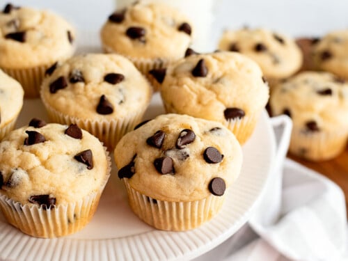 Choc chip muffin recipe store