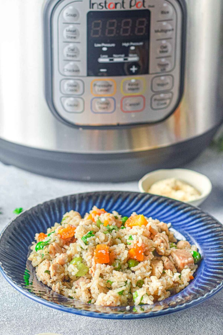 Easy Instant Pot Chicken and Rice - Boulder Locavore